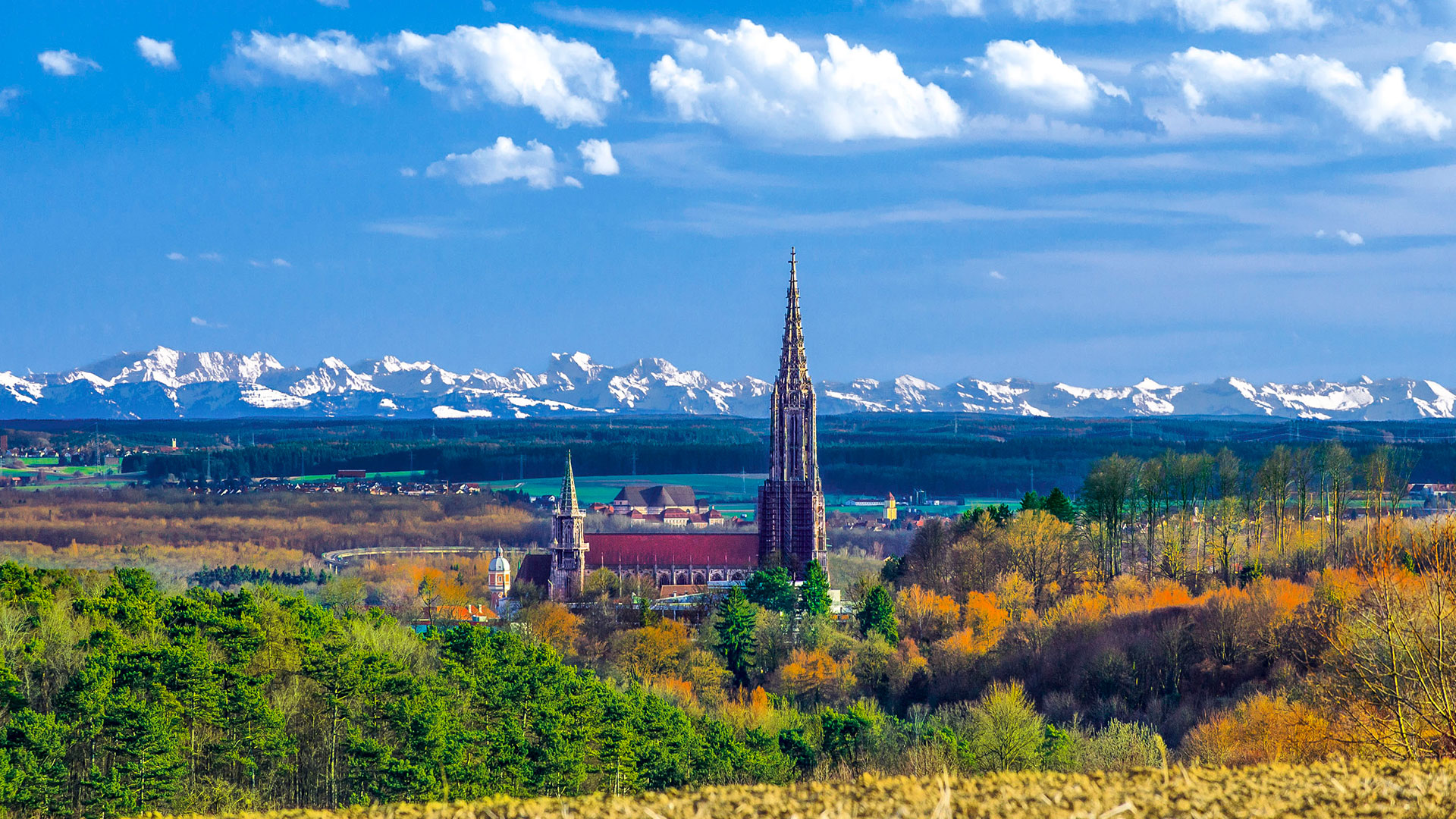 Ulmer Münster mit Alpenpanorama